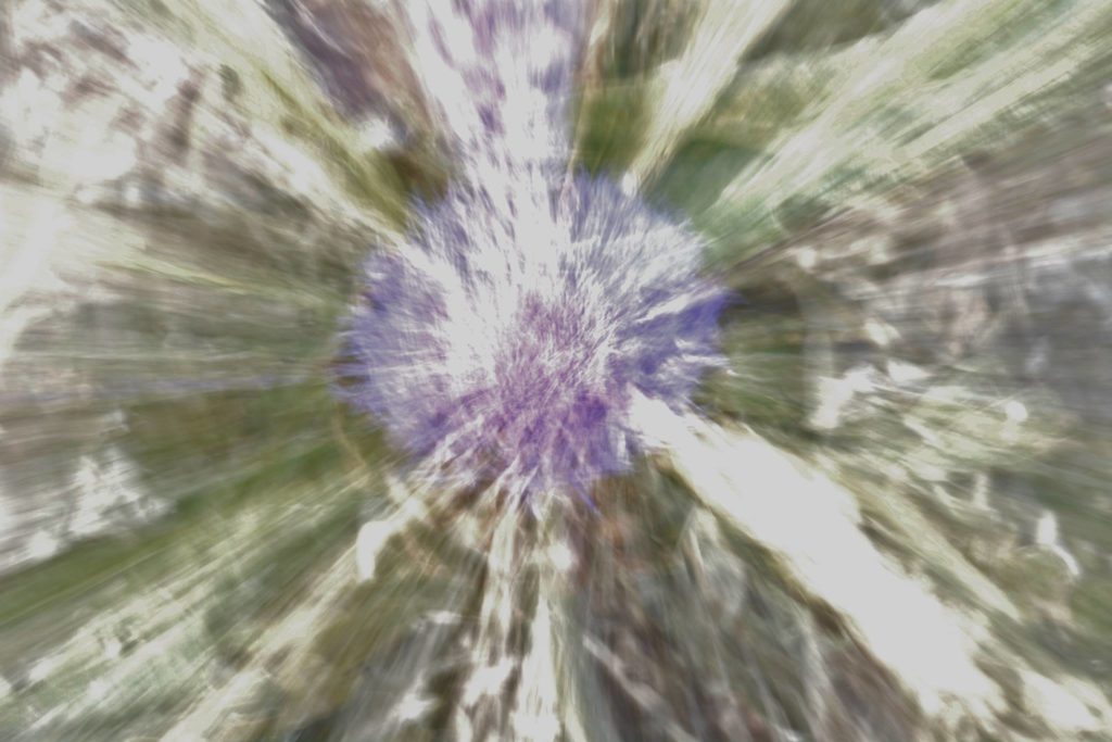 Zooming o la velocidad de la luz Fotografía creativa - ANDANAfoto.com